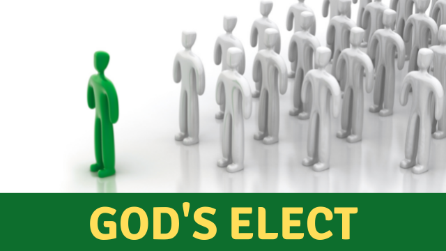 God's Elect | PastorWagner.com